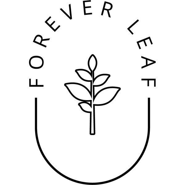 FOREVER LEAF | Wayfair